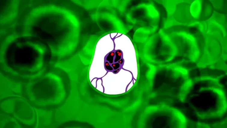 Discuss Everything About Ben 10 Wiki | Fandom