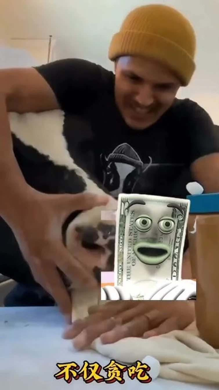 Chat what oc is the best representation of yap dollar? | Fandom