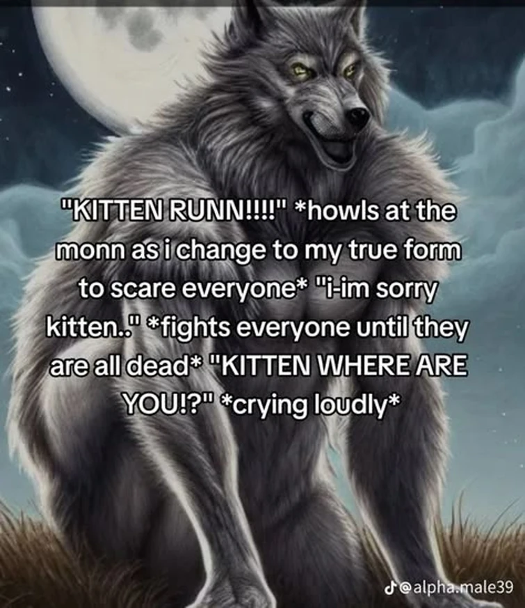 Shed would unironically eat one of these probs | Fandom