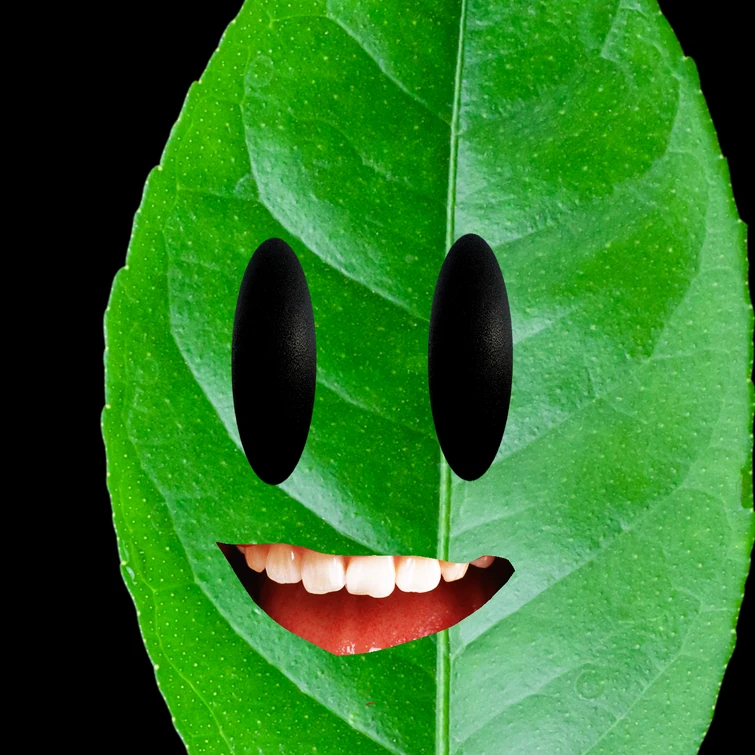 what if bfdi had detailed frames | Fandom