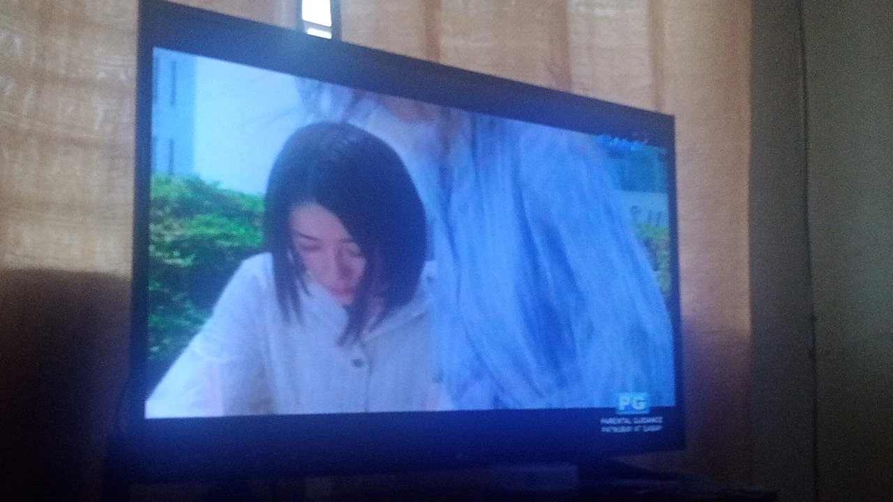What Episode is this on Taiga??! (GMA Network) | Fandom