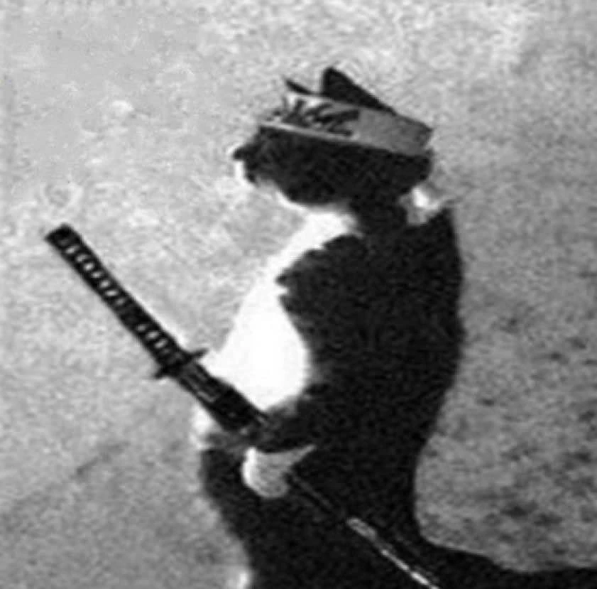 is it js me | Fandom