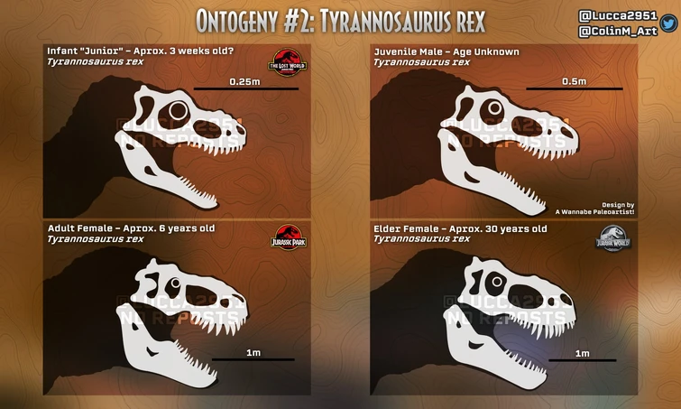 dinosaur skulls | Fandom