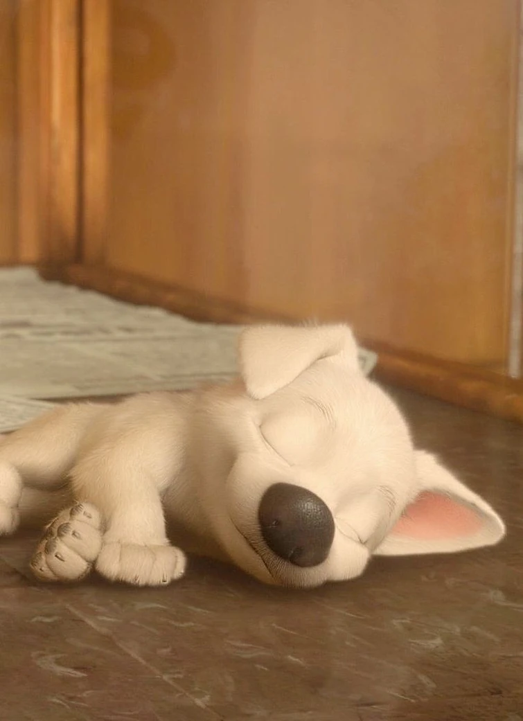 Bolt sleeping | Fandom