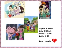 Dragon Ball Couples Wiki | Fandom