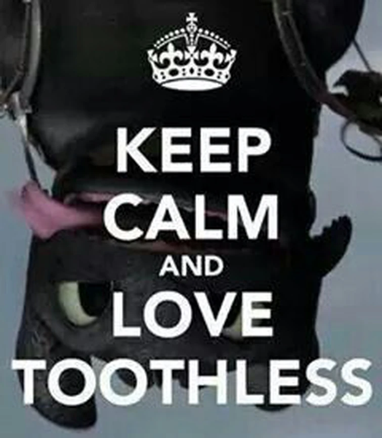 Toothless fans | Fandom