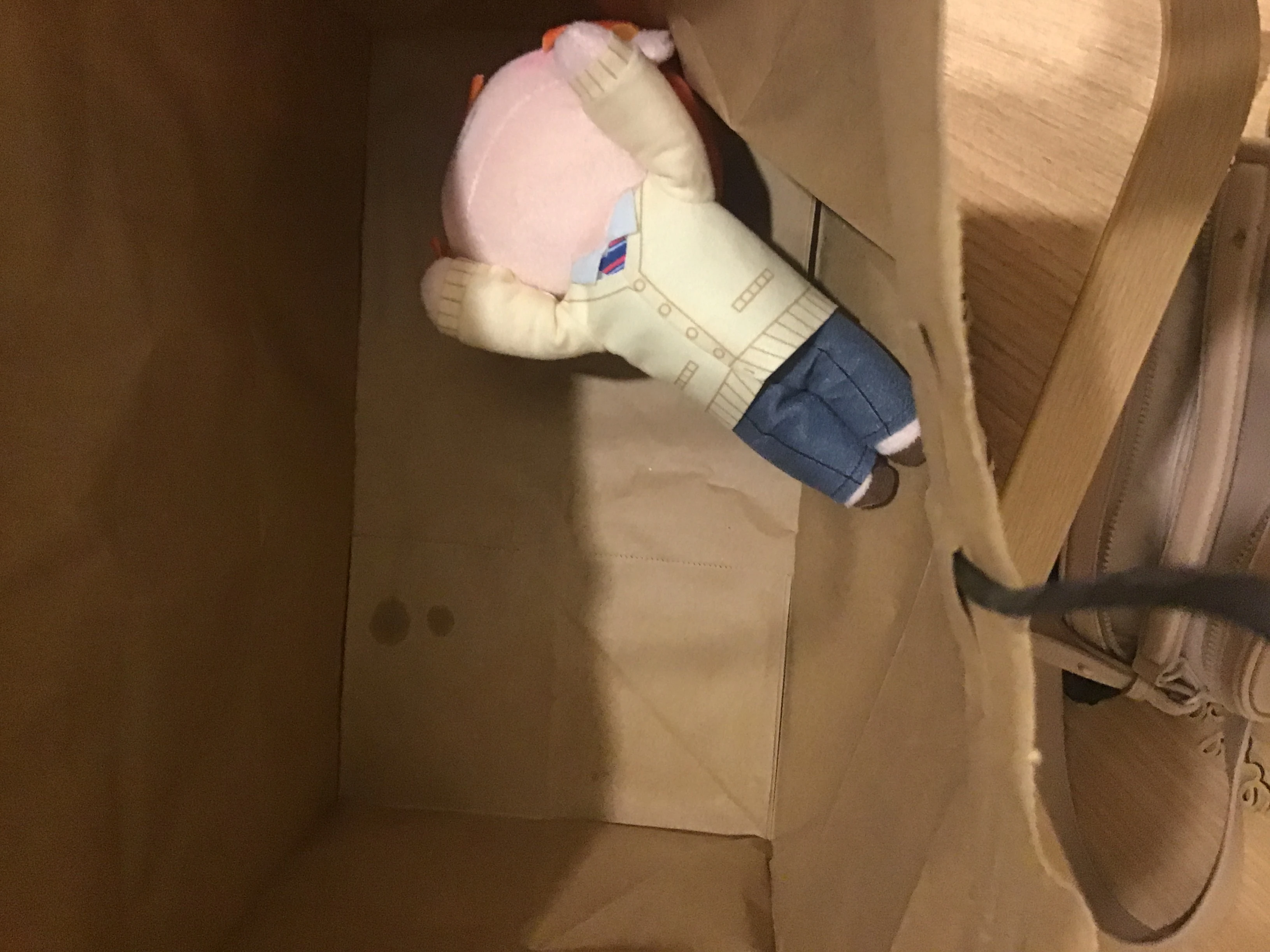 He’s inside the bag | Fandom