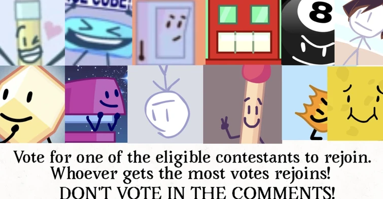 WHAT IS BFB CONTINUED??? | Fandom