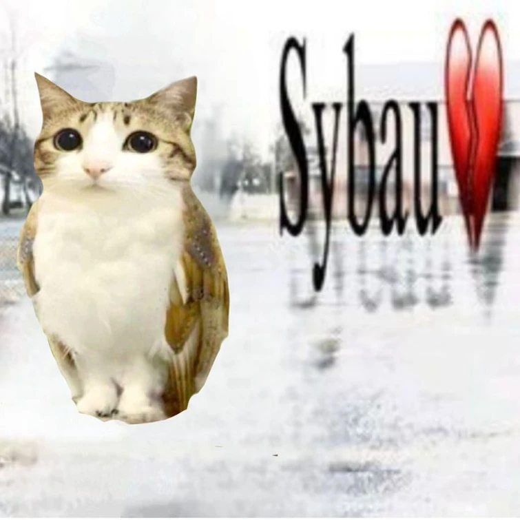 ahah... Meowl picture dump | Fandom