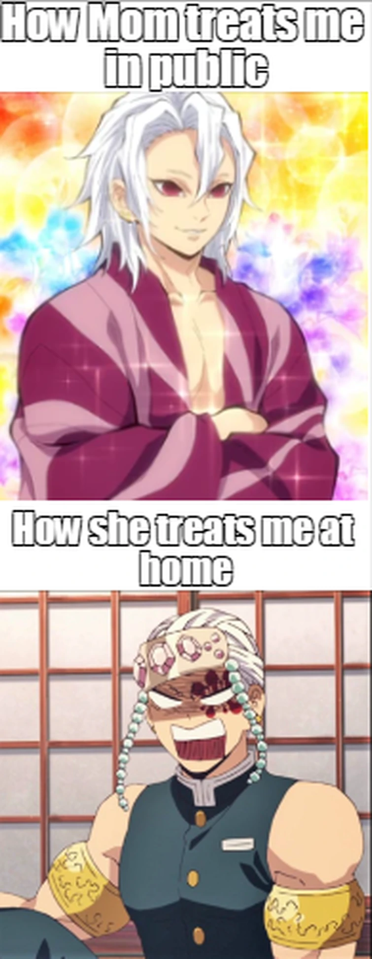 KNY MEMES PT.4 (HASHIRA EDITION) | Fandom