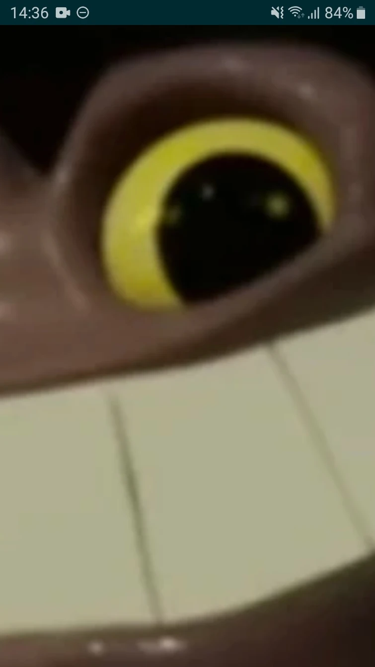 im da biggest toad | Fandom