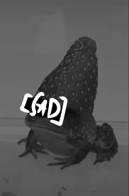 My new PFP because peopke said iMm weird 😣 | Fandom