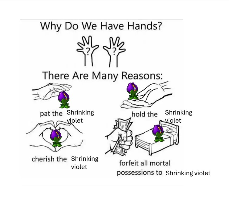 shrinking violet :] | Fandom