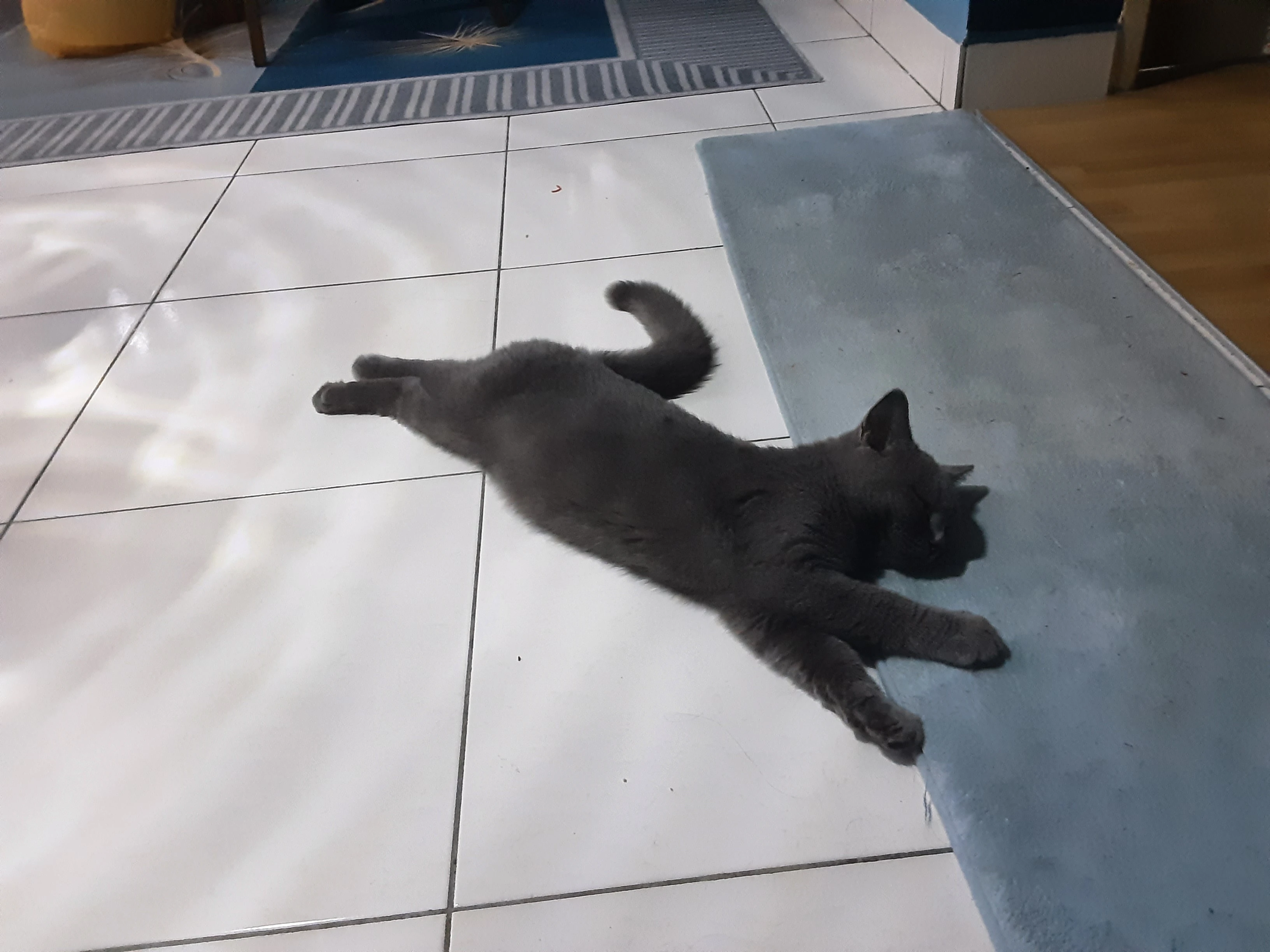 Sleepy😴😴😴😴😴 | Fandom