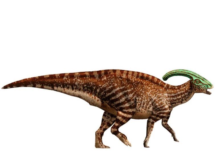 Discuss Everything About Dinopedia | Fandom