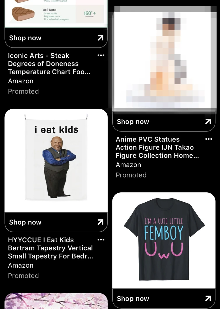PINTEREST ADS ARE WILD | Fandom