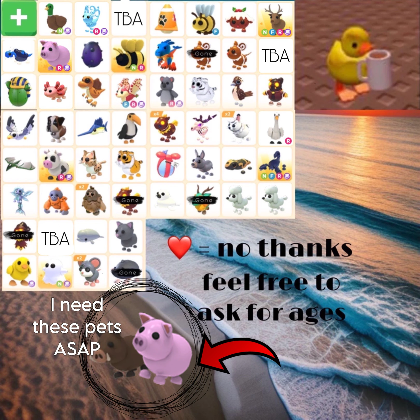 trying to trade sum stuffies | Fandom