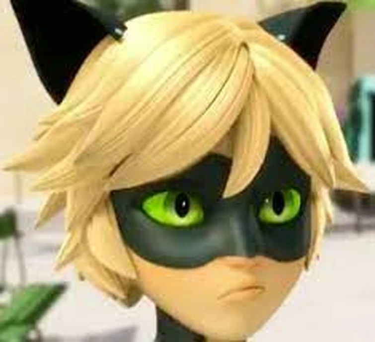 What is your favorite CHAT NOIR quote? | Fandom