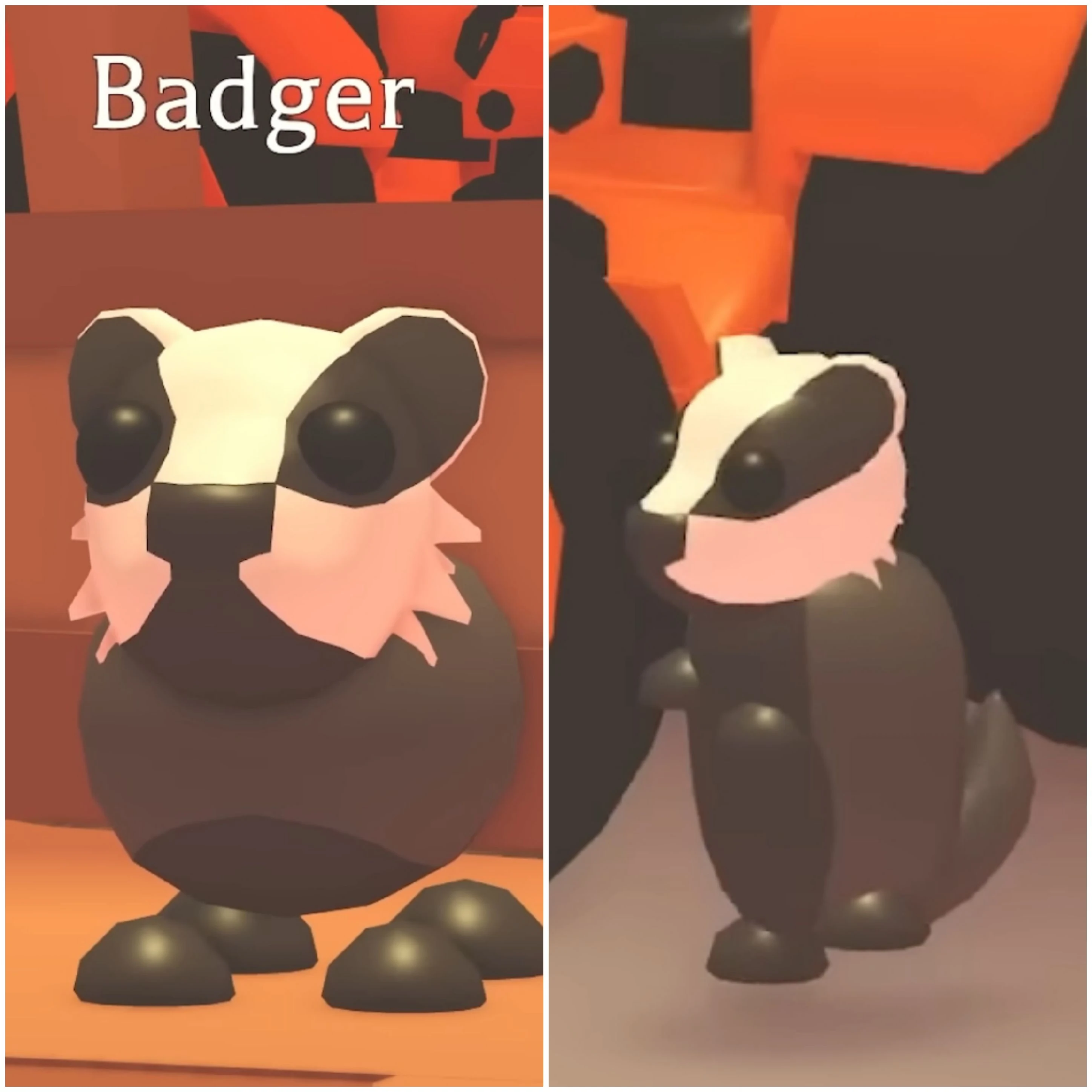 Ngl the badger is pretty cute 🦡 | Fandom
