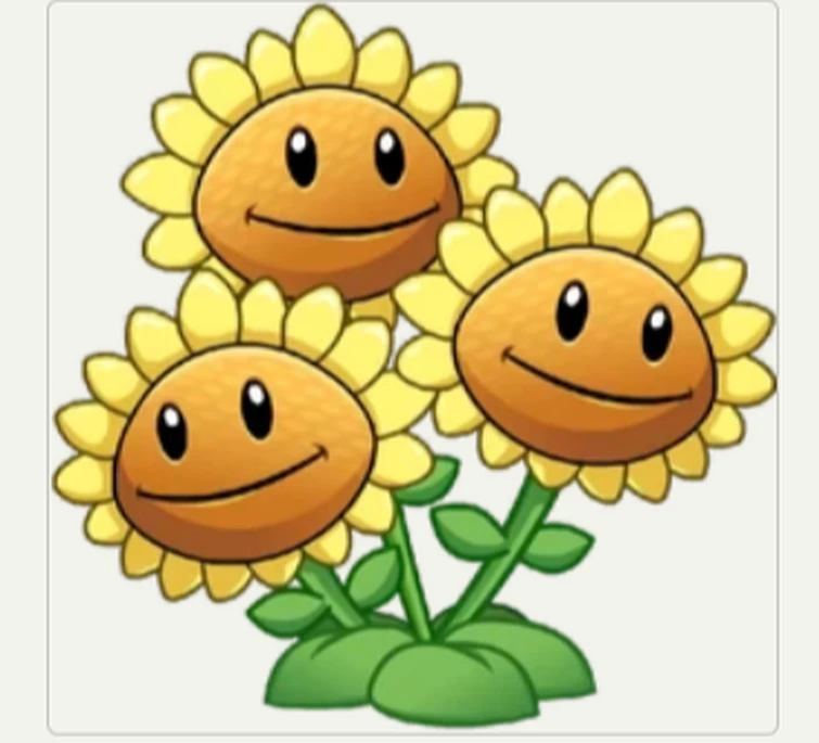 Triple-Sunflower | Fandom