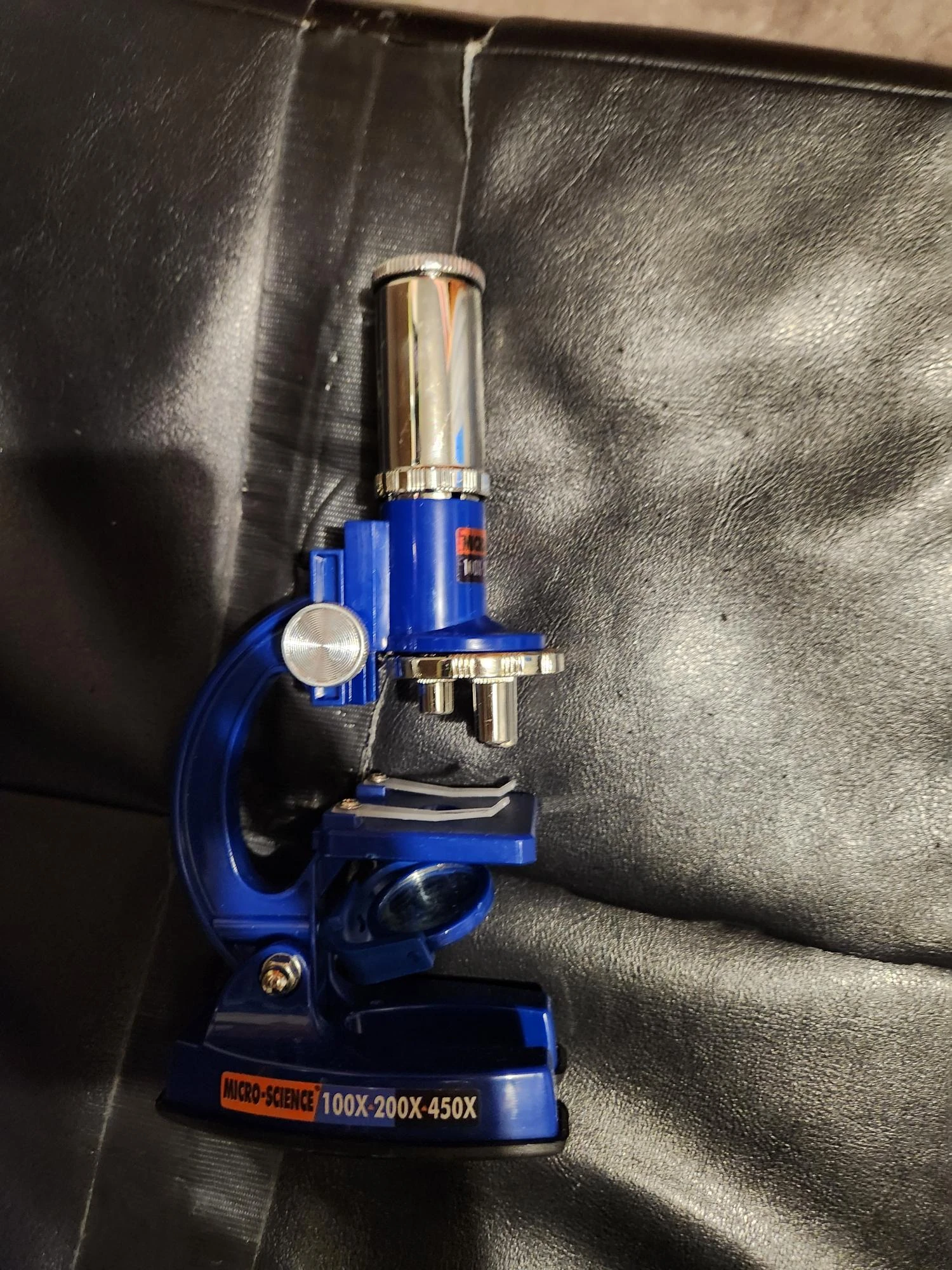 What should I look at under my microscope? | Fandom