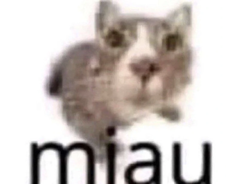 miau | Fandom