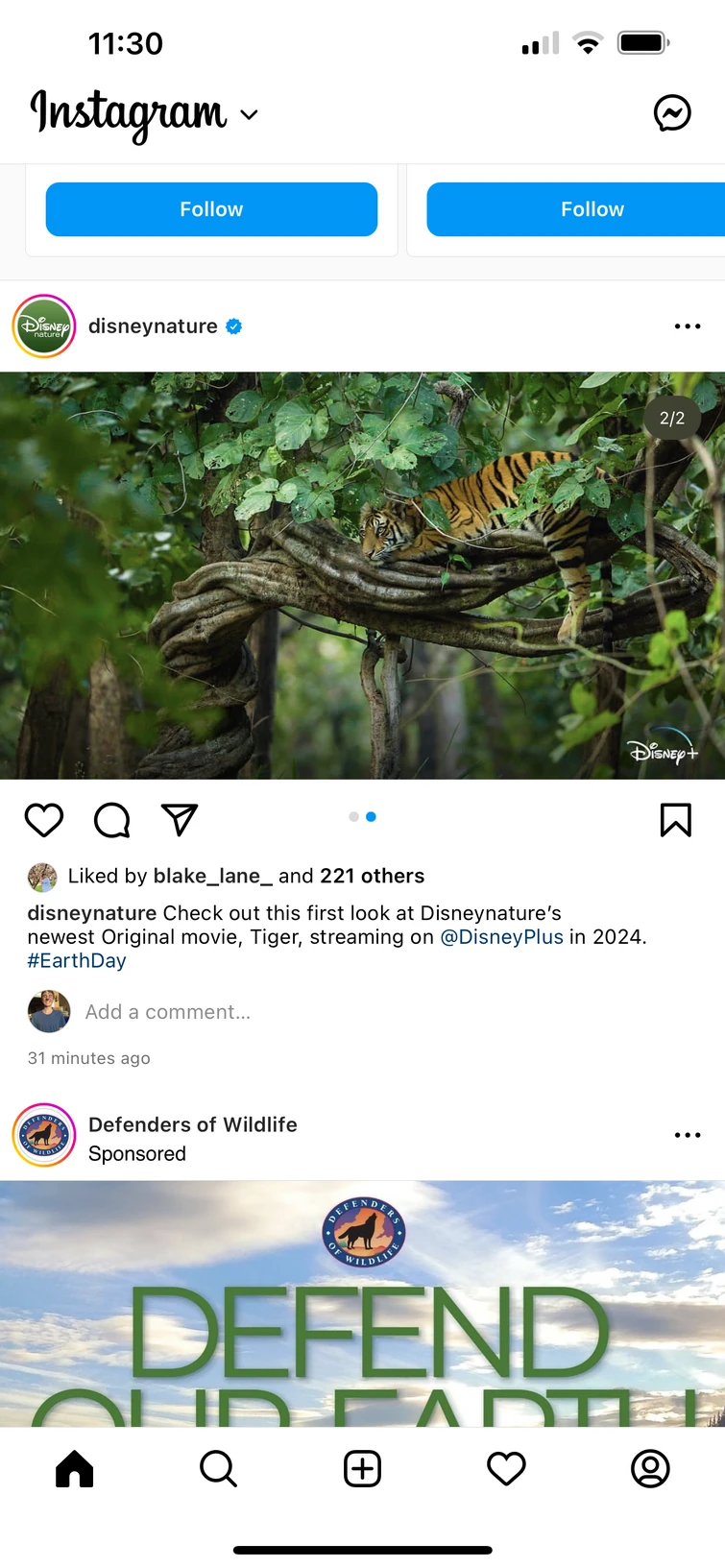New Disneynature Film | Fandom
