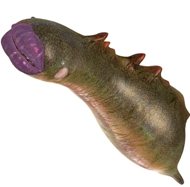 Discuss Everything About Pikmin Wiki | Fandom