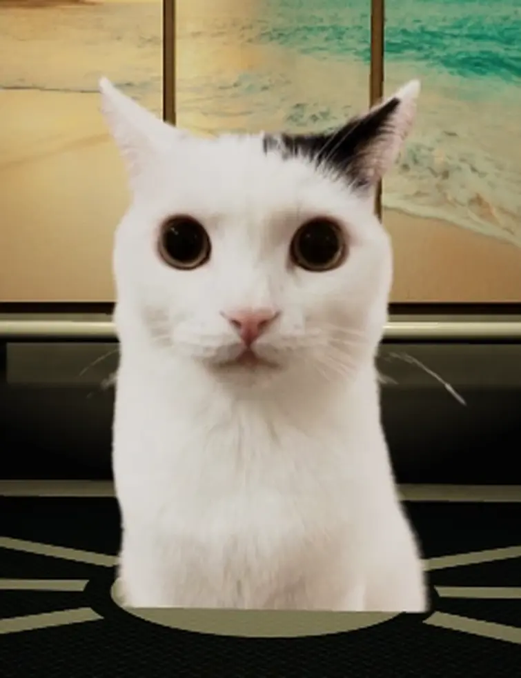 Gregoriah pets Jermbo | Fandom