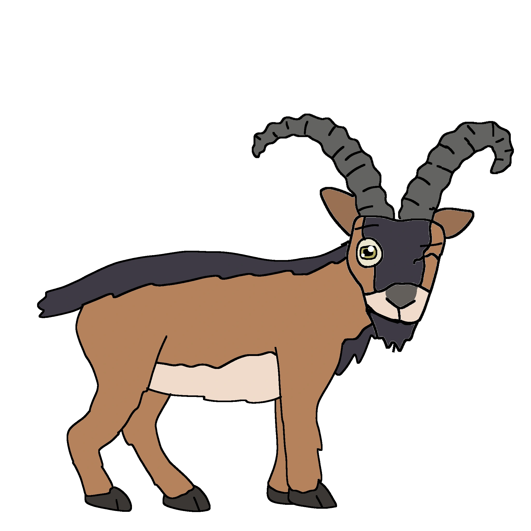 Pyrenean Ibex drawing | Fandom
