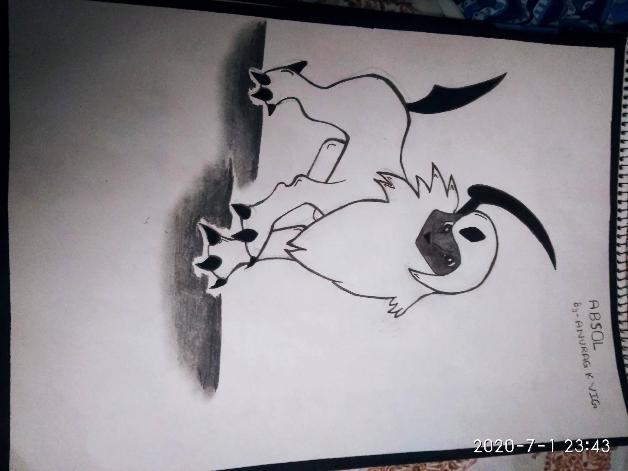 Poke drawing | Fandom