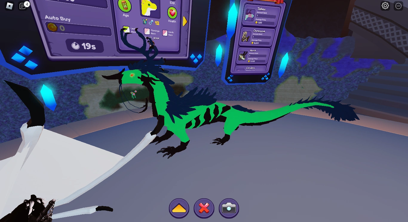 Taking photos of random dragons in UC until someone owns one. Day #2! | Fandom