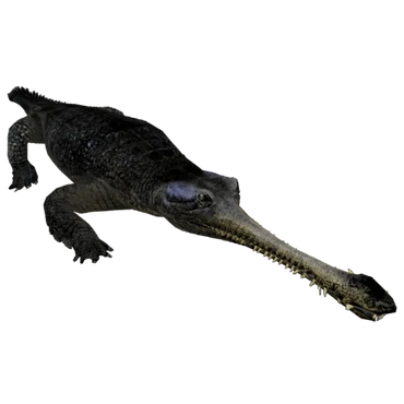 Discuss Everything About Dinopedia | Fandom