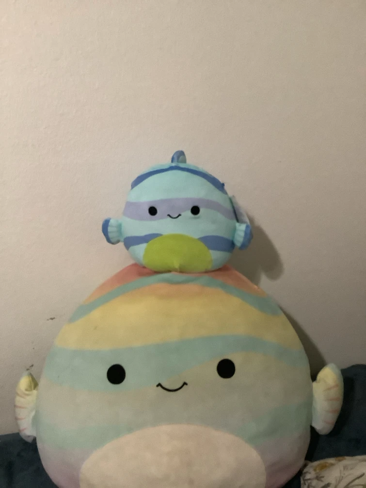 Discuss Everything About Squishmallows Wiki | Fandom