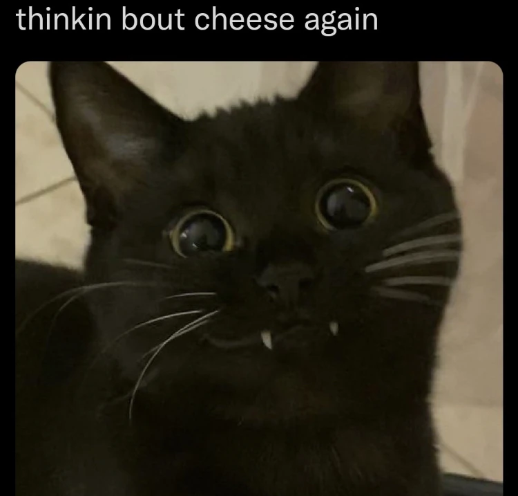cheese | Fandom