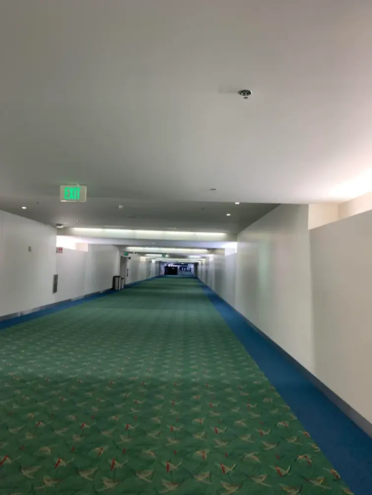 Level 2223 "The infinite stem of hallways" | Fandom