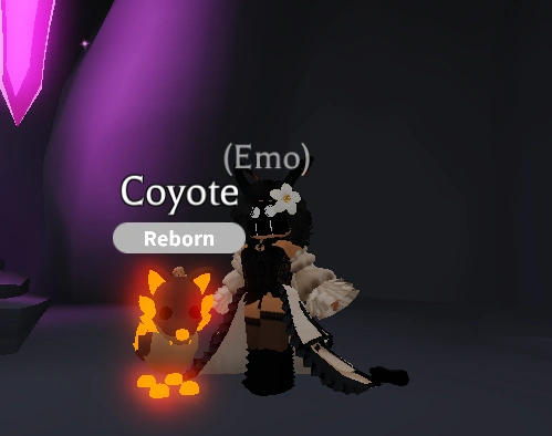 NEON COYOTE!!!! | Fandom
