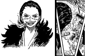 Pasado oscuro de Crocodile | Fandom