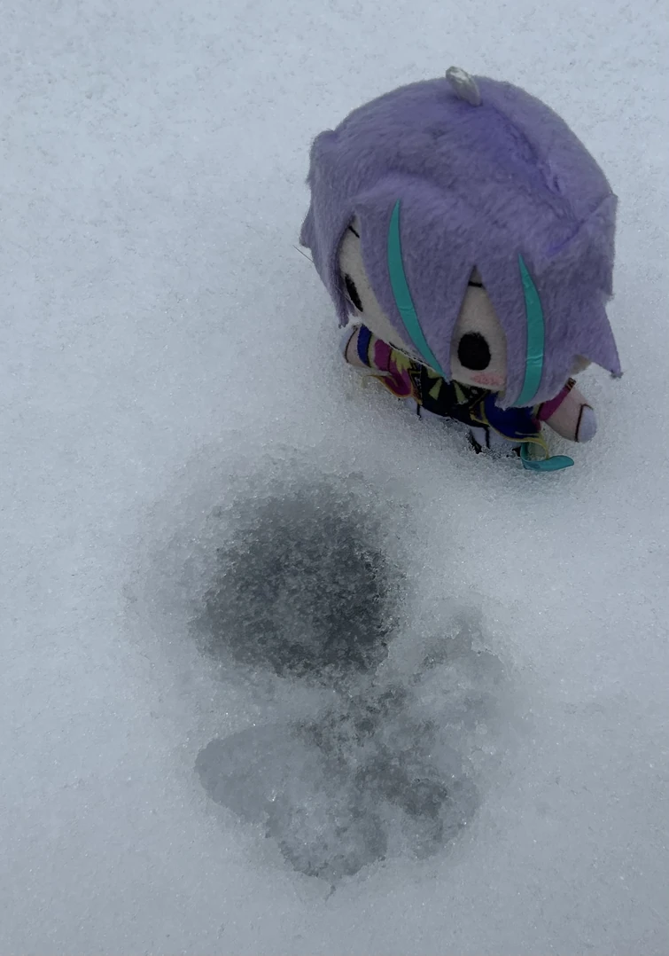 little rui-chans snow adventure!!!! | Fandom