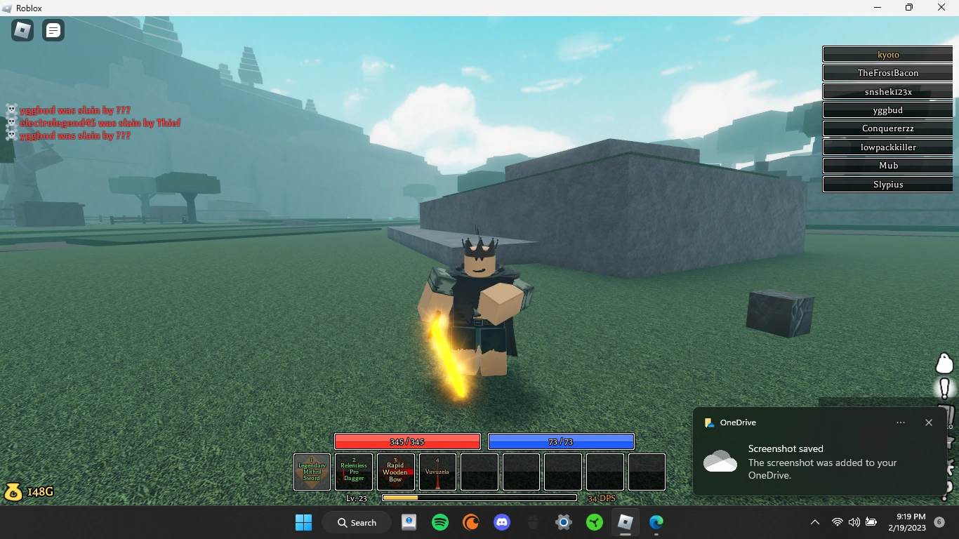 Finally got full Thief Set | Fandom