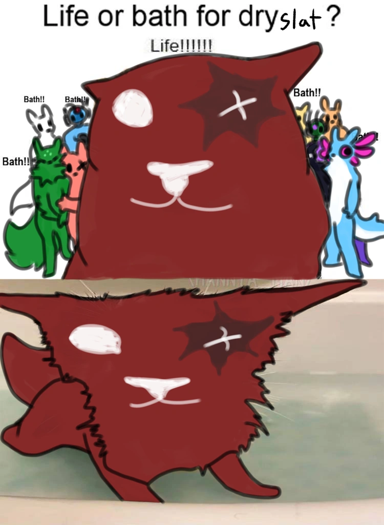 Life or bath for dry cat? | Fandom