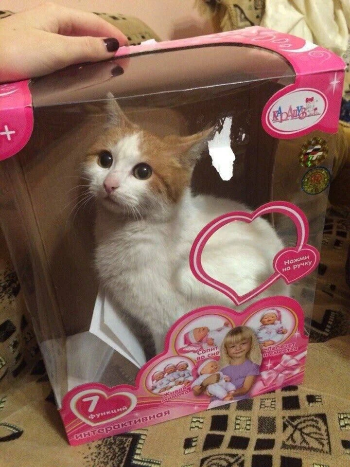 No Context #60 | Fandom