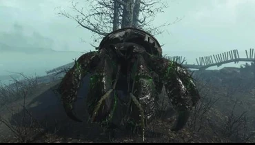 Discuss Everything About Fallout Wiki | Fandom