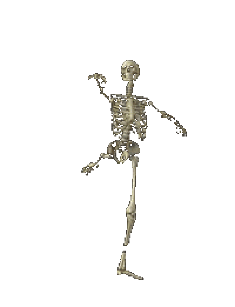 every skeleton gif i have | Fandom
