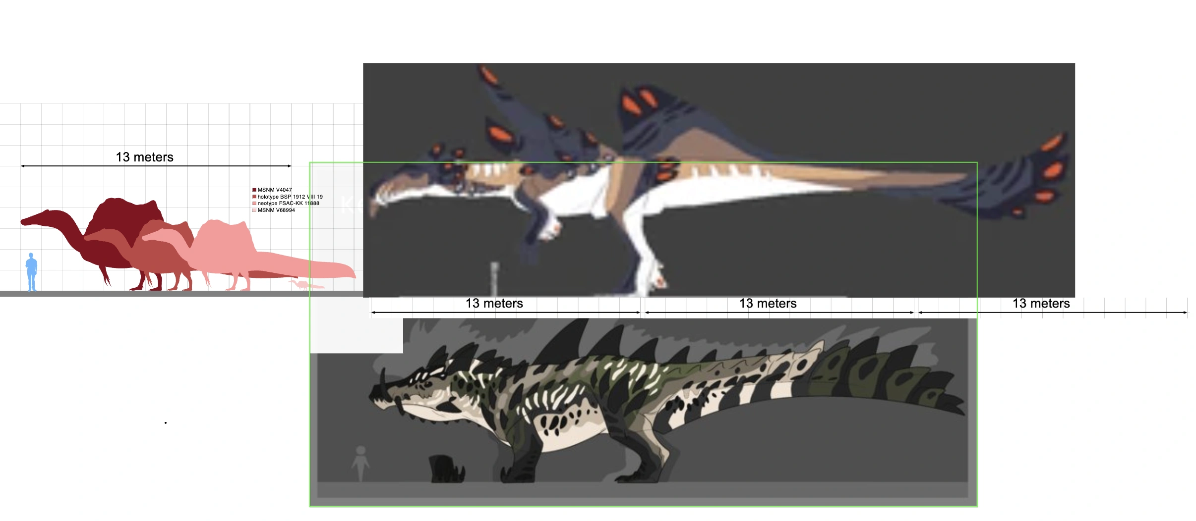 Gyroudus and Kendyll compared to the new Spinosaurus | Fandom