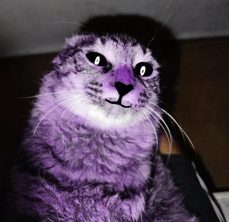 All posts by BanbansPancreas31 | Fandom