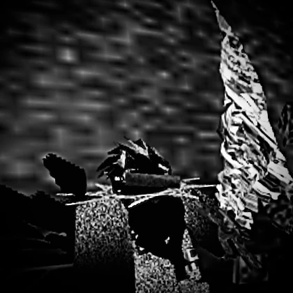 Erā skin drop | Fandom