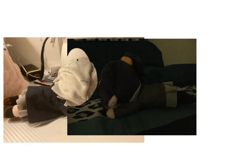 people with any neso!!! | Fandom