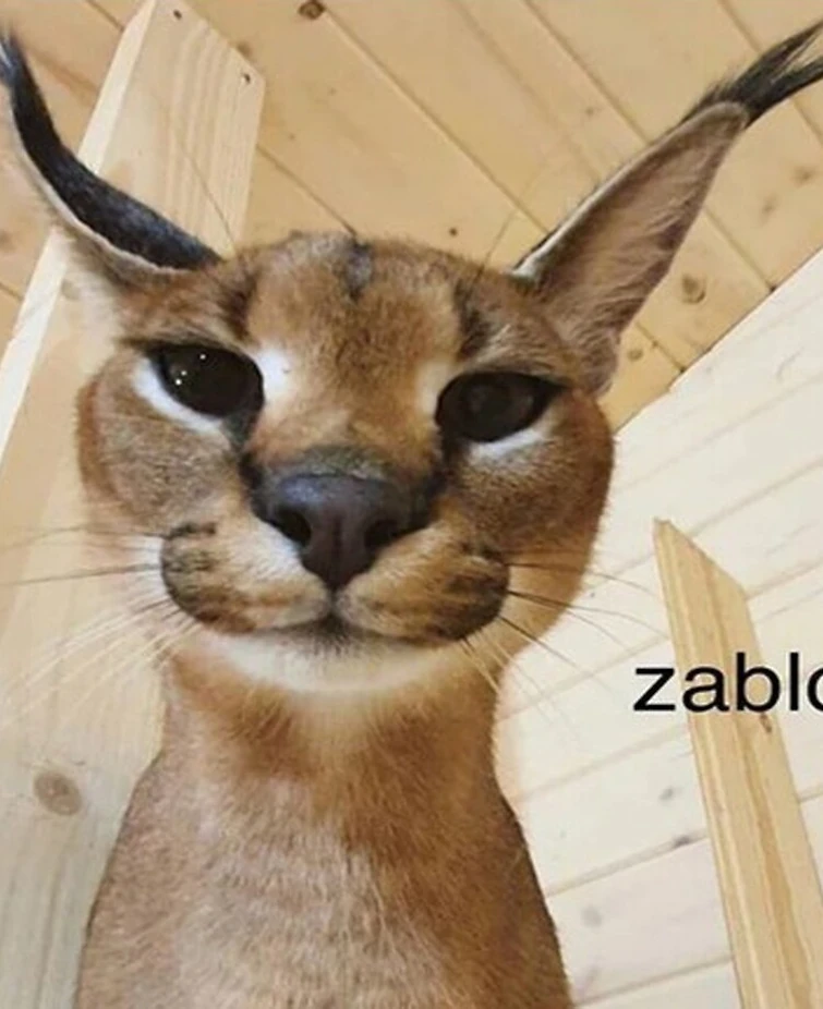 ok, what do you think would Zabloing look like as a latex? | Fandom