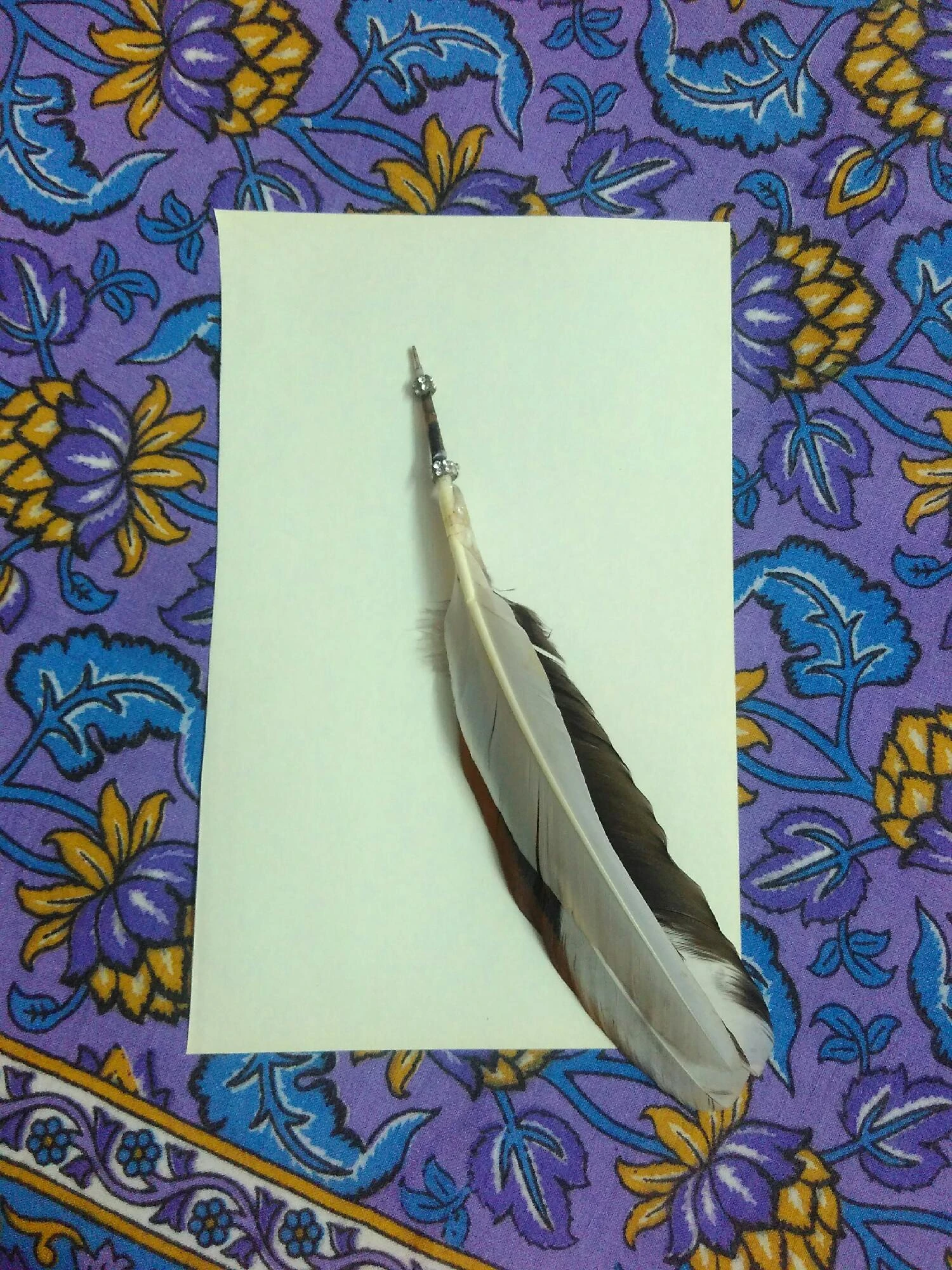 My own quill | Fandom